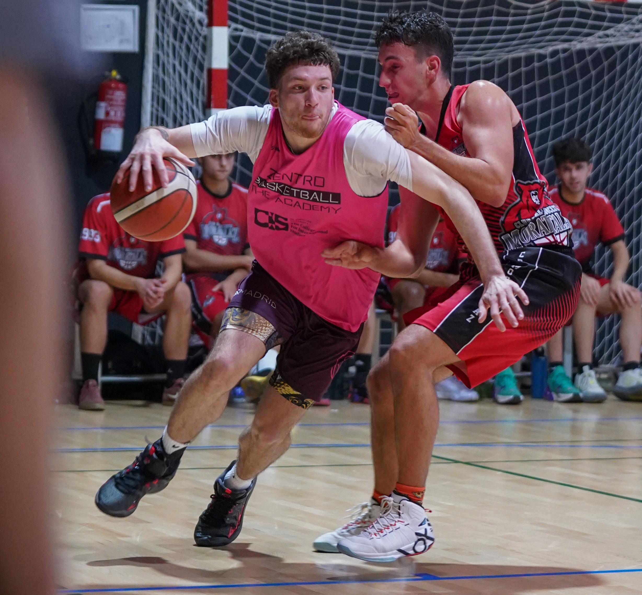 Elite Basketball University | CIS University